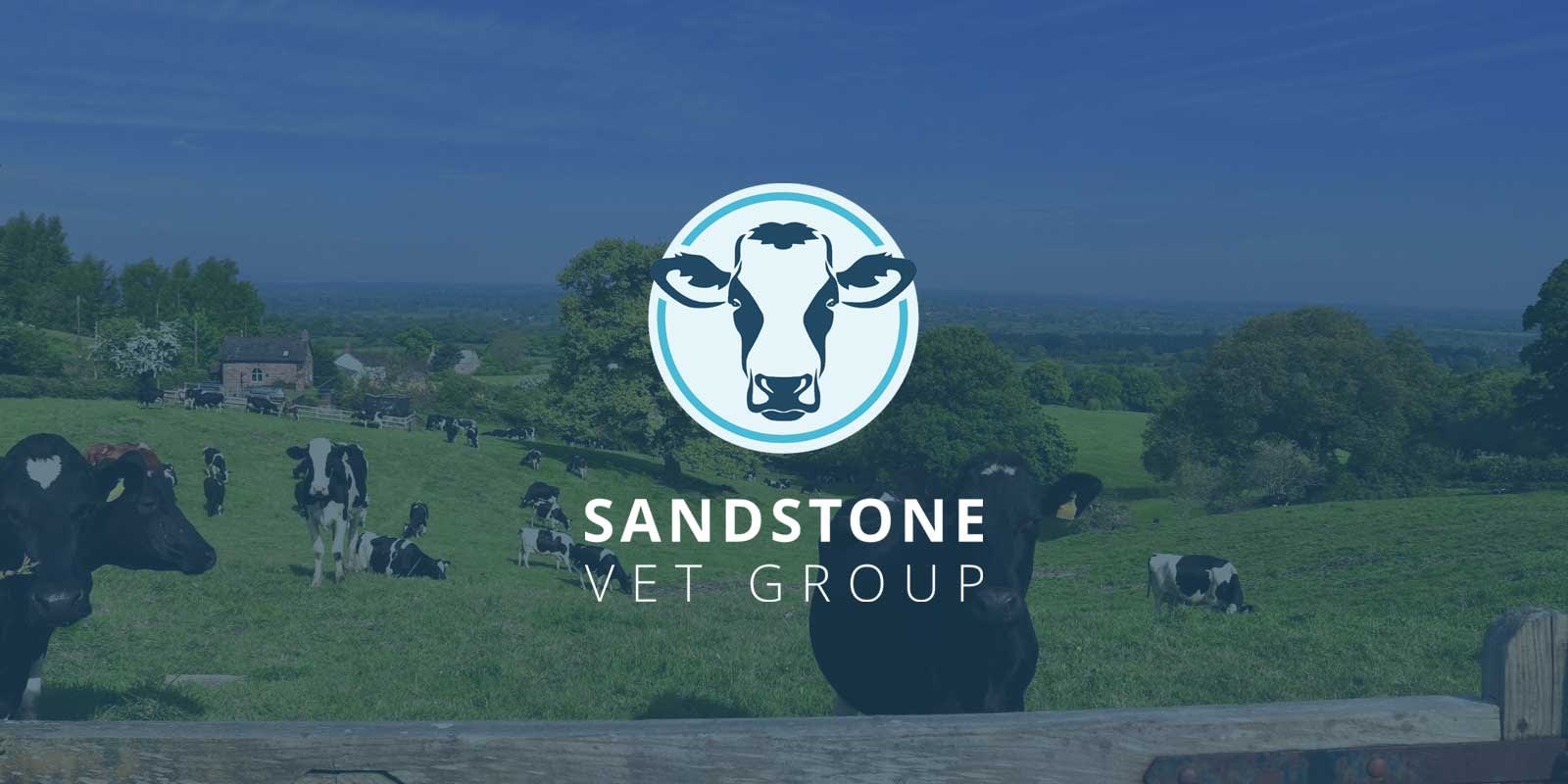 Sandstone Vet Group - An independent, progressive practice