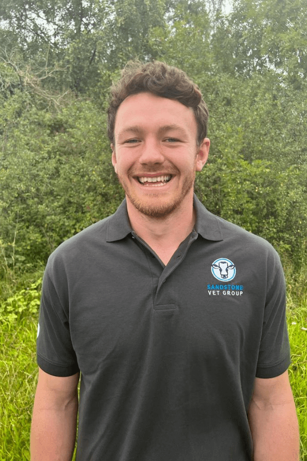 Michael Cartmill - Clinical Vet - Sandstone Vet Group