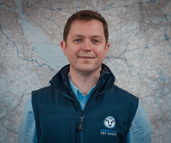 Edward Jefferson–Loveday - Clinical Vet - Sandstone Vet Group